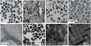 Gold Nanoparticles and Their Applications – CD Bioparticles Blog