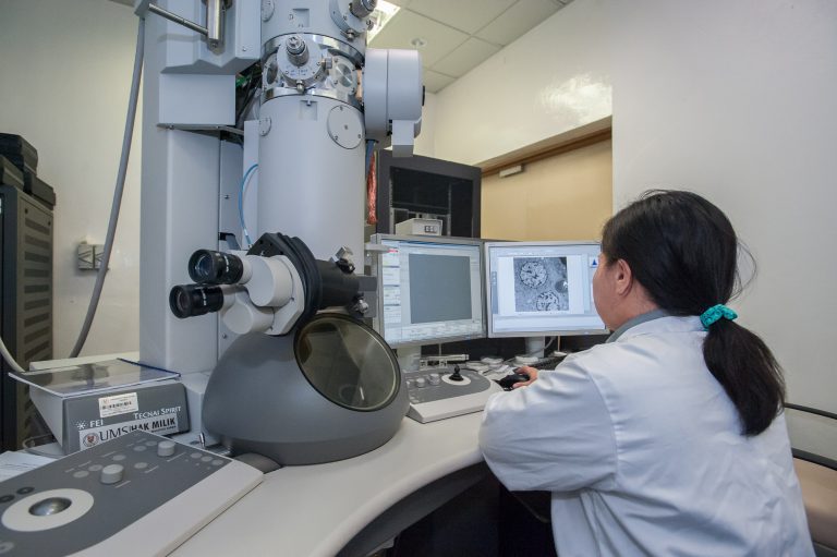 Morphological Characterization of Nanoparticles – CD Bioparticles Blog