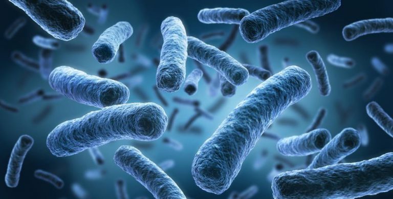 The Antibacterial Nanomaterials You Ever See – CD Bioparticles Blog