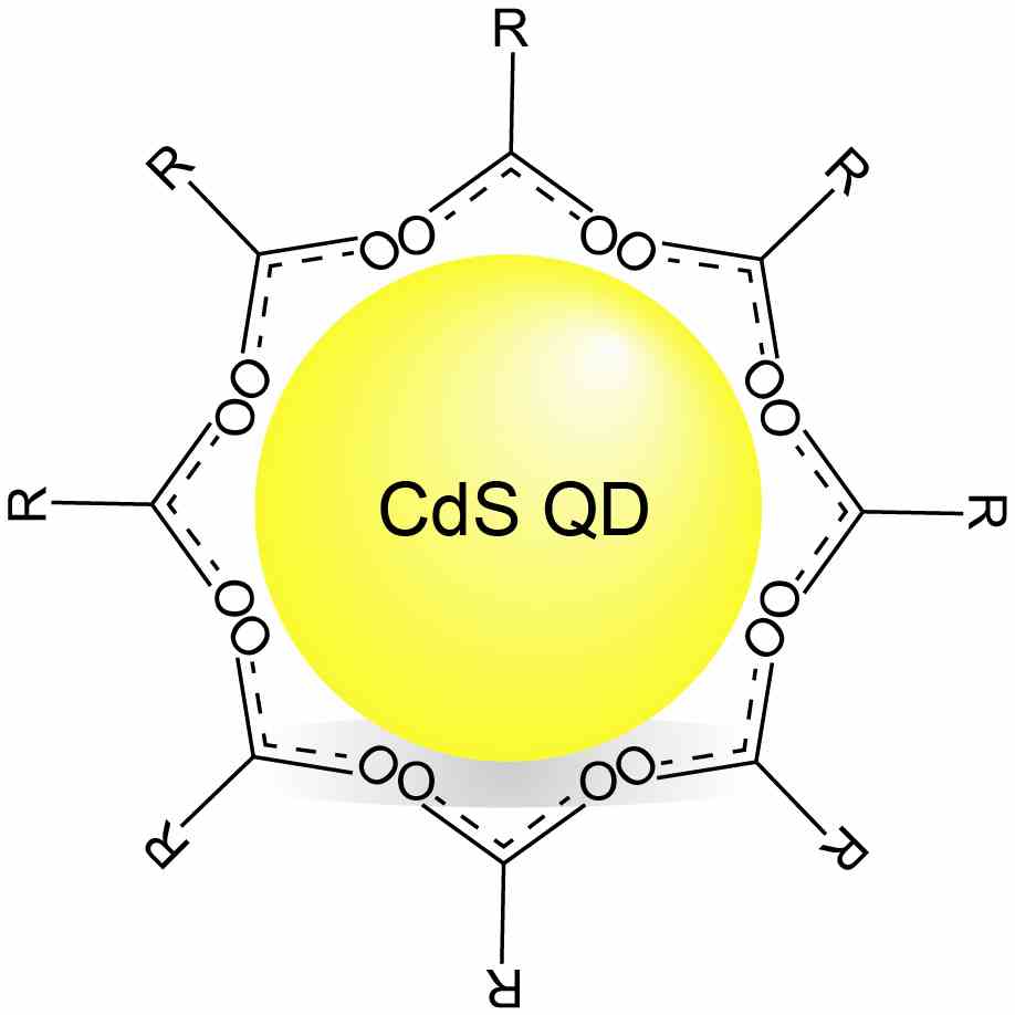 CdS Quantum Dots - CD Bioparticles