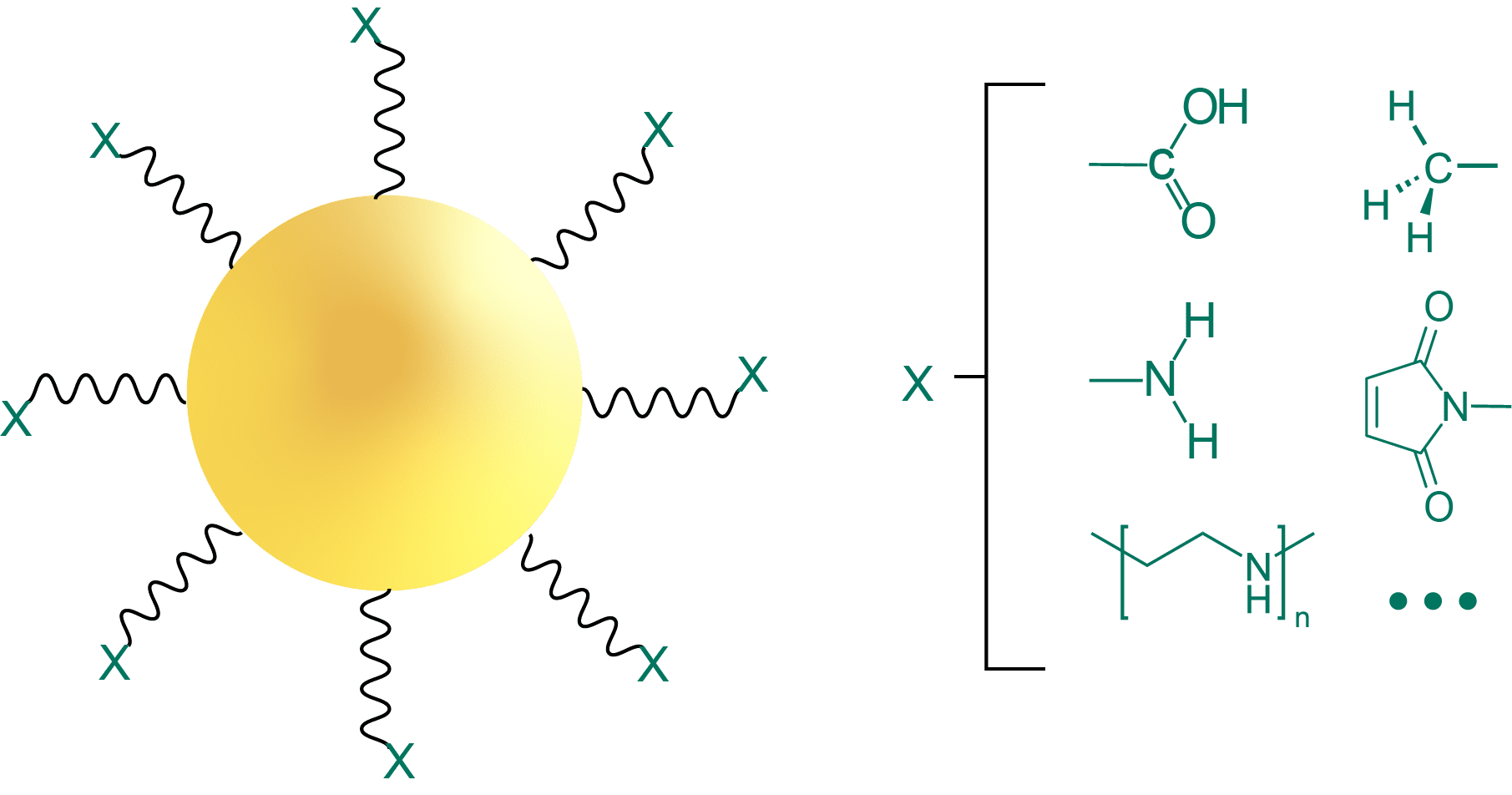 Functional Gold Nanoparticles - CD Bioparticles