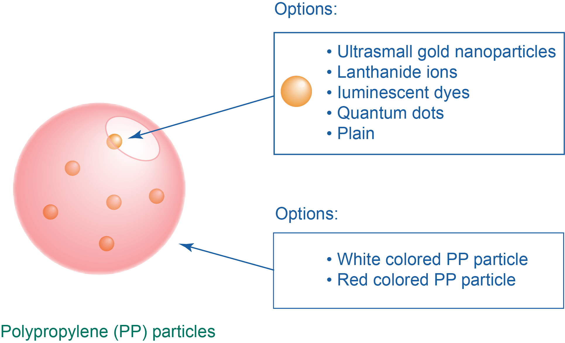 PP Nanoparticles - CD Bioparticles
