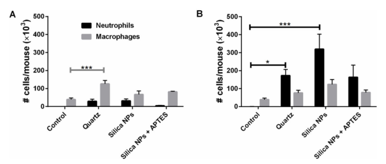 Amine Modification - CD Bioparticles
