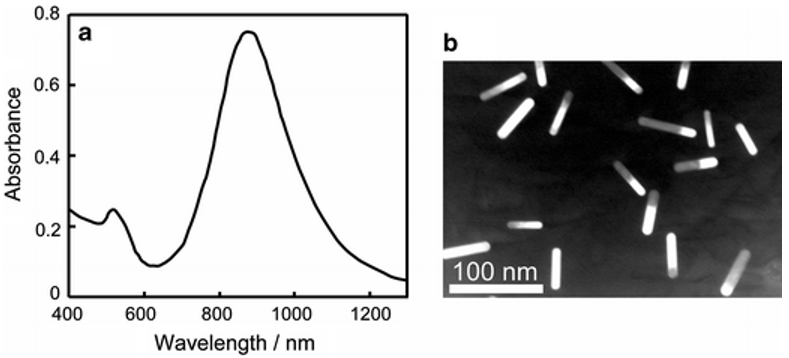 Basic Gold Nanorods - CD Bioparticles