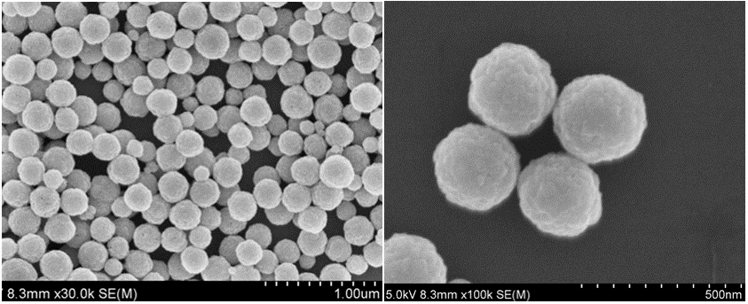 Unmodified Magnetic Particles - CD Bioparticles