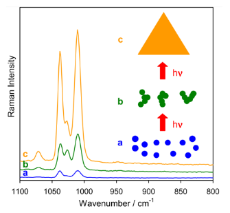 Basic Silver Nanoparticles - CD Bioparticles