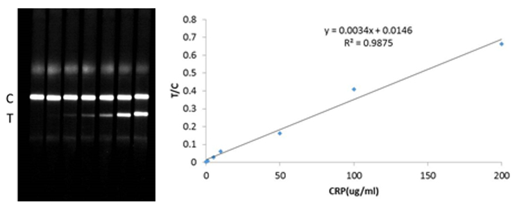 DiagNano™ Quantum Dot Beads for Lateral Flow Immunochromatographic ...