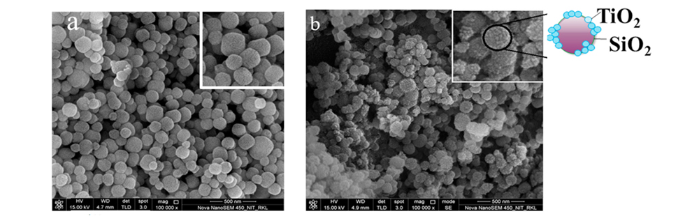 Coated Silica Particles - CD Bioparticles