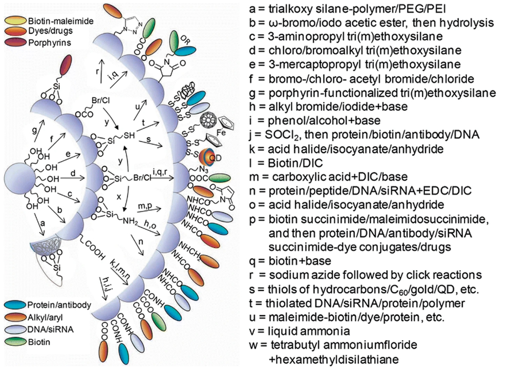 Conjugated Silica Particles - CD Bioparticles
