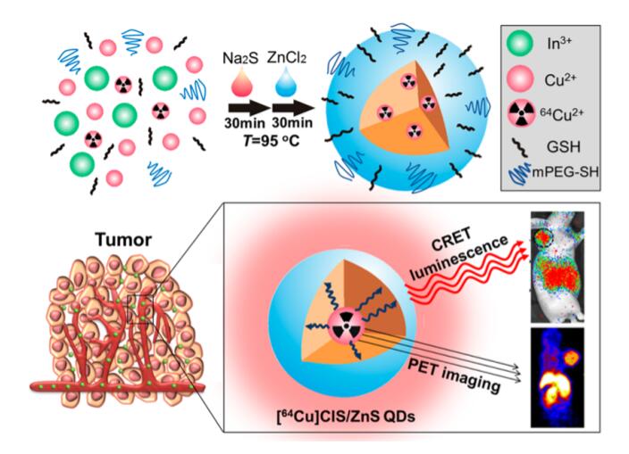 CuInS/ZnS Quantum Dots - CD Bioparticles
