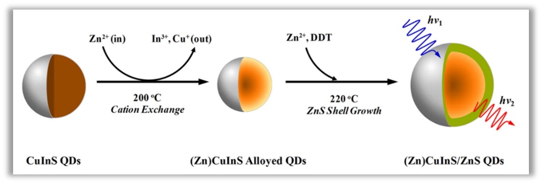 CuInZnS/ZnS Quantum Dots - CD Bioparticles