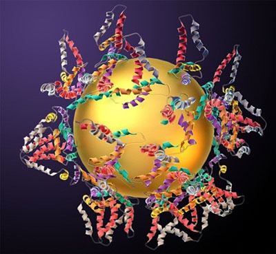 Custom Gold Nanoparticle Conjugation - CD Bioparticles