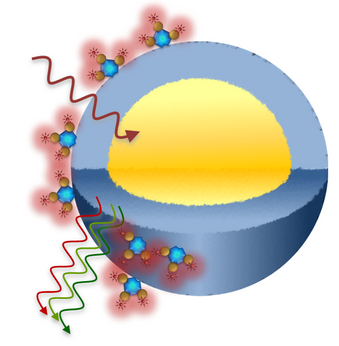 Upconverting Nanoparticles Conjugation - CD Bioparticles