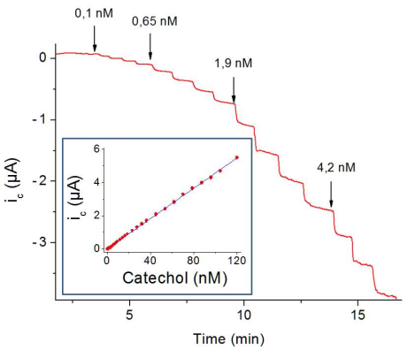 Dextran Modification - CD Bioparticles
