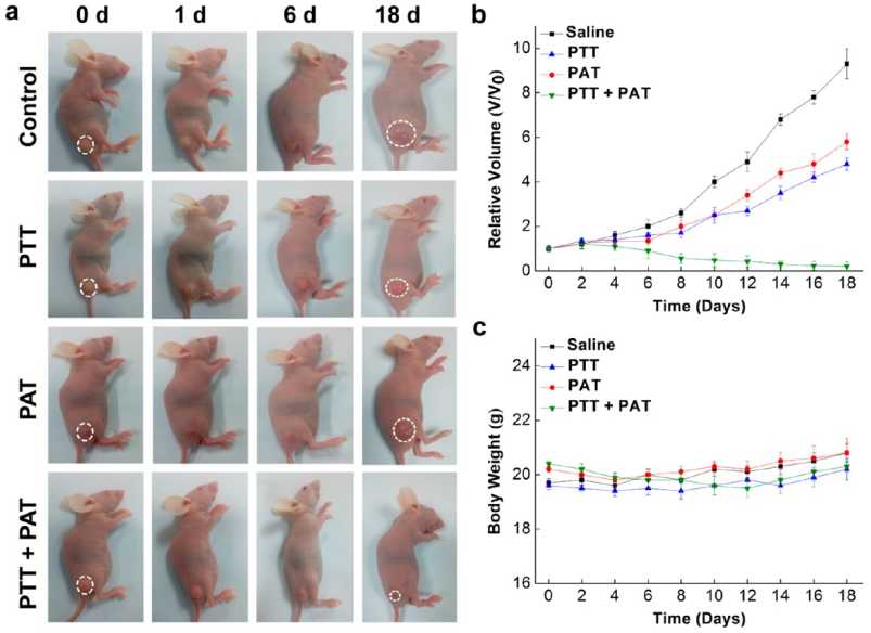 Dibenzocyclooctyne (DBCO) Modification - CD Bioparticles
