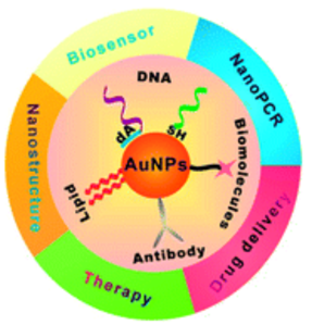 Gold Nanoparticles Conjugation Kits - CD Bioparticles