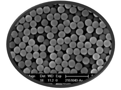Magnetic Particles for Genotyping Based on Hybridization Probe - CD Bioparticles