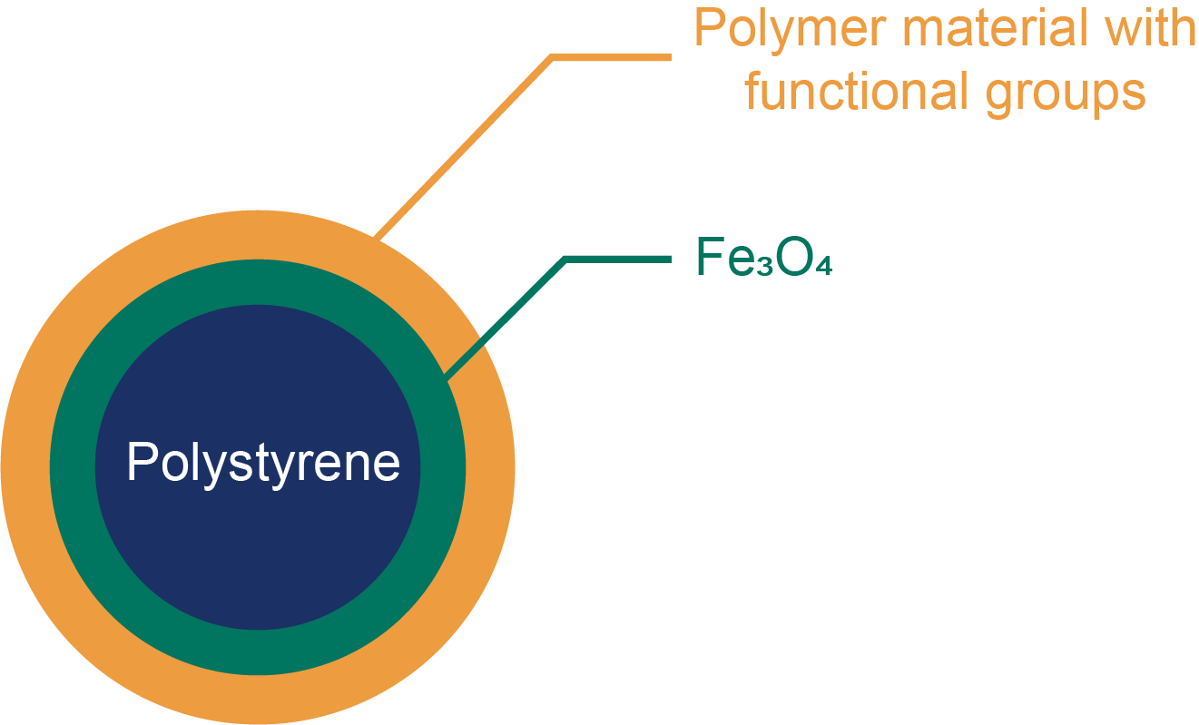 Next Generation Sequencing Schematic