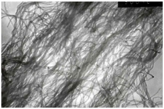Multi-Walled Carbon Nanotubes (MWCNTs) - CD Bioparticles