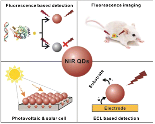 NIR-Quantum Dots in Biomedical Imaging - CD Bioparticles
