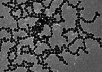 SpecNano™ Gold Nanocubes, 90 nm - CD Bioparticles