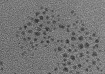 SpecNano™ Amine Gold Nanoclusters, 1.5 nm - CD Bioparticles