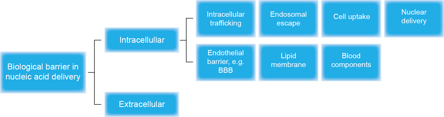 Nanoparticles-Based Nucleic Acid Delivery - CD Bioparticles