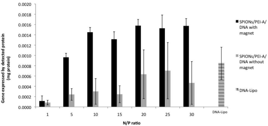 Nanoparticles in Vaccine Delivery - CD Bioparticles
