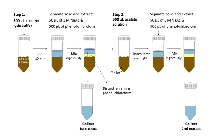 Isolation And Separation Of Nucleic Acid Hot Deal | www.micoope.com.gt Isolation And Separation Of Nucleic Acid Hot Deal | www.micoope.com.gt