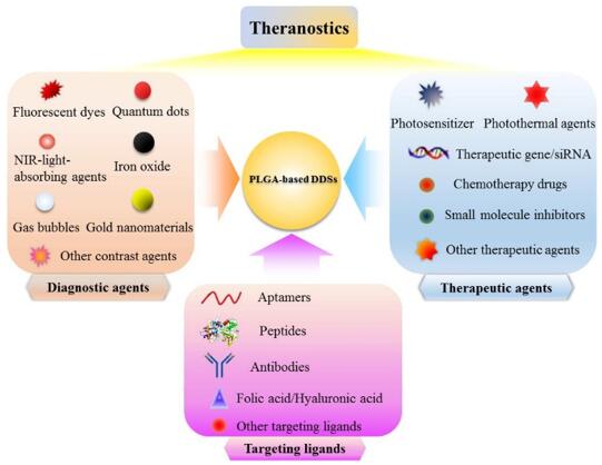 PLGA-based drug delivery system for in vitro and in vivo applications ...