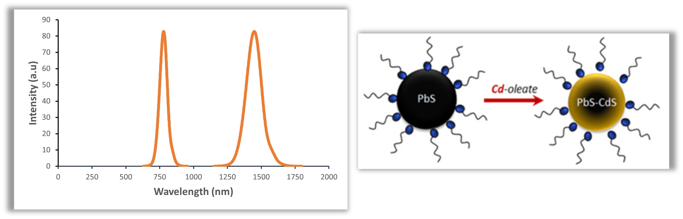 PbS/CdS Quantum Dot | PbS/CdS QD - CD Bioparticles