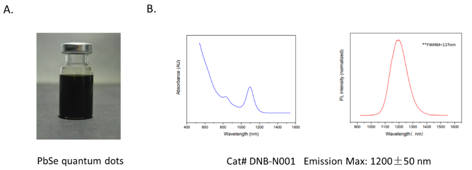 PbSe Quantum Dots - CD Bioparticles