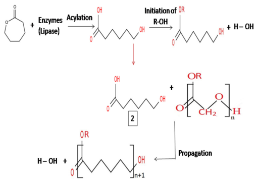 PCL Nanoparticles, Microparticles - CD Bioparticles