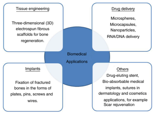 PLA Nanoparticles, Microparticles - CD Bioparticles