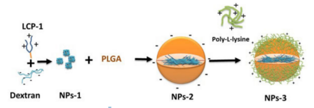Polylysine Modification - CD Bioparticles