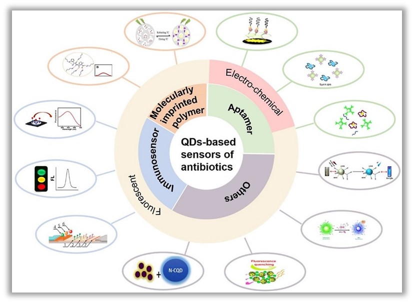 Quantum Dots Labeling & Conjugation Kits - CD Bioparticles