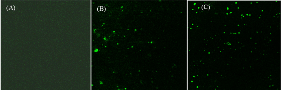Silver Nanoparticles Conjugation Kits - CD Bioparticles