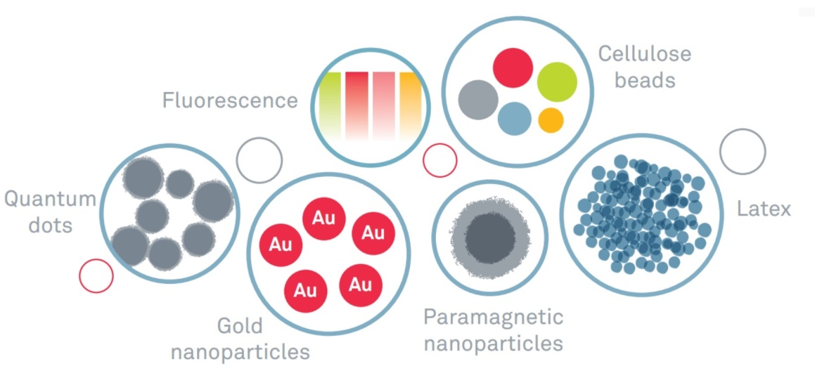 Test & Assay Development - Technical Platform - CD Bioparticles