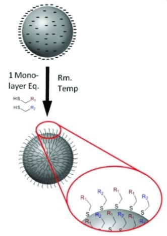 Thiol Modification - CD Bioparticles