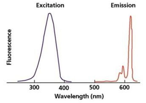 Time-resolved Fluorescent Microspheres - CD Bioparticles
