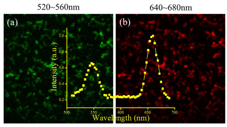 Properties and Applications of Upconversion Nanoparticles - CD Bioparticles
