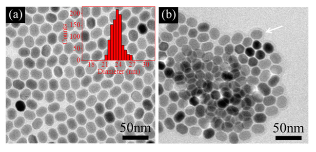 Properties and Applications of Upconversion Nanoparticles - CD Bioparticles