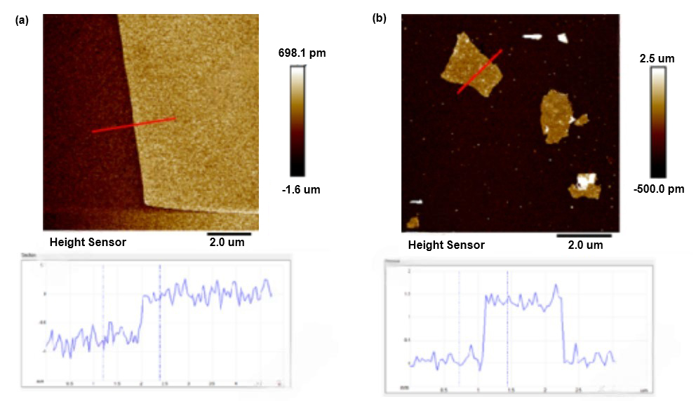 AFM Testing Services - CD Bioparticles
