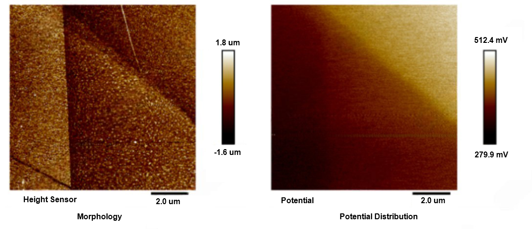 AFM Testing Services - CD Bioparticles