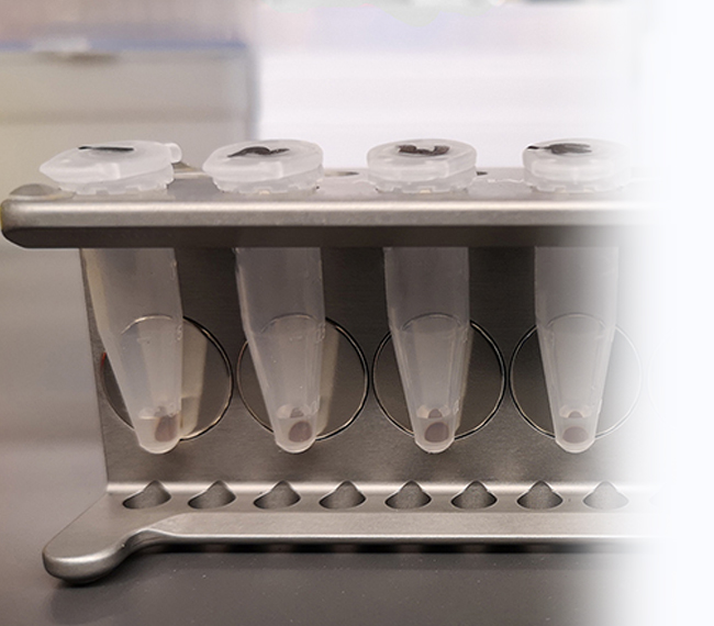 Bead Conjugation Services - CD Bioparticles