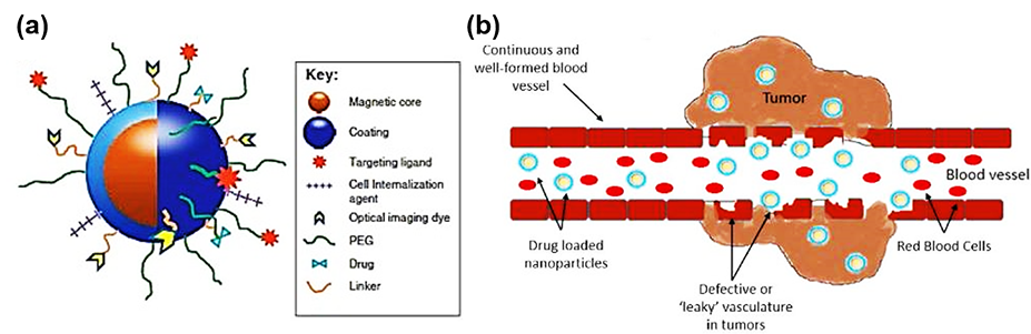 Custom Small Molecules Conjugated MNPs Synthesis - CD Bioparticles