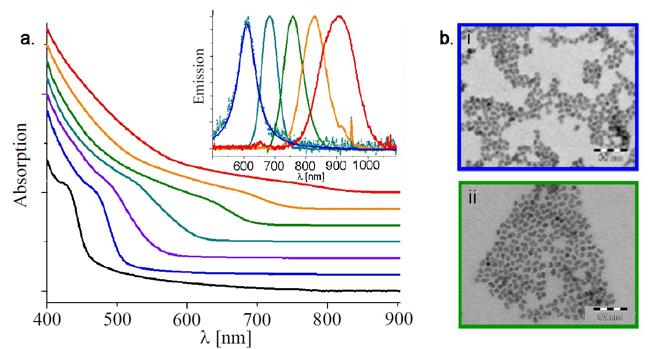 CdSe/ZnTe Core/Shell Quantum Dots - CD Bioparticles