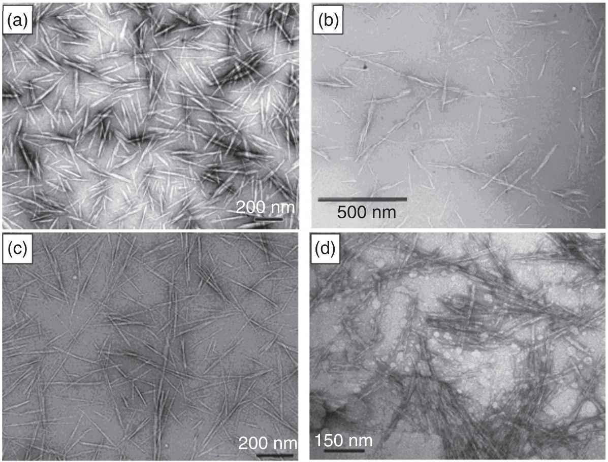 Nanocrystalline Cellulose, CNC - CD Bioparticles