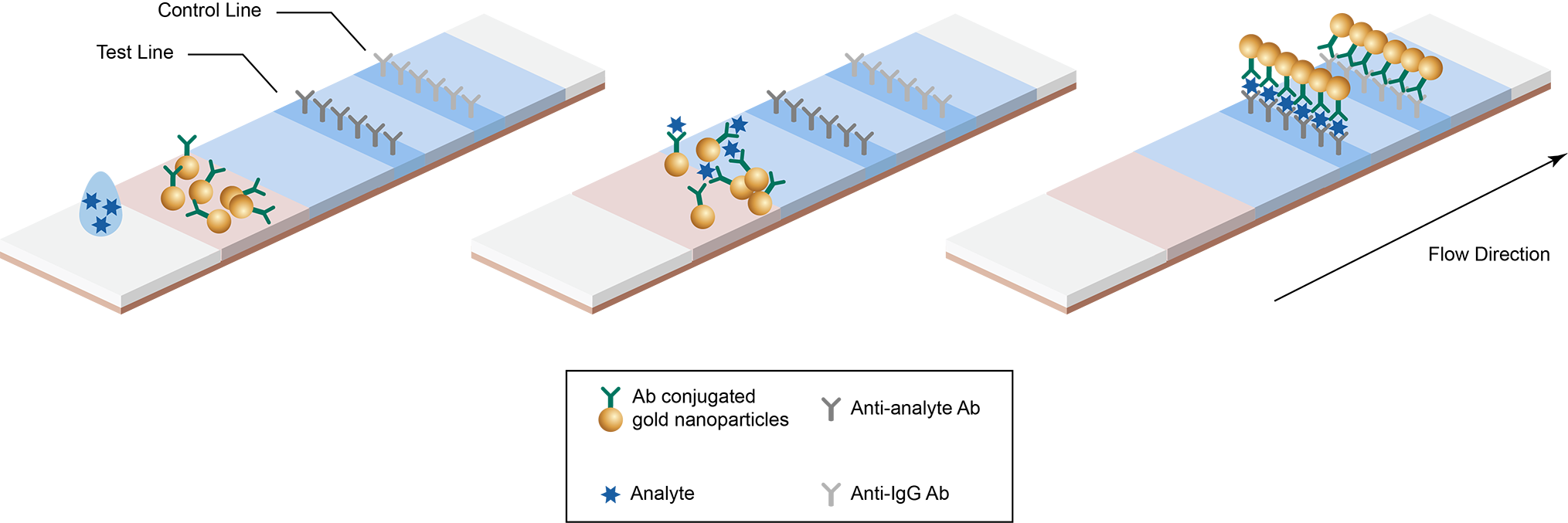 Colloidal Gold Lateral Flow Assay Development - CD Bioparticles