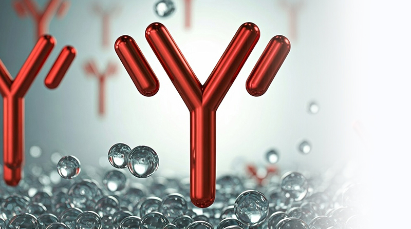 Custom Agarose Solutions for Bioseparation - CD Bioparticles